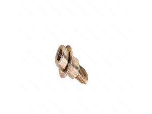 CALIPER COVER SCREW - Mospart